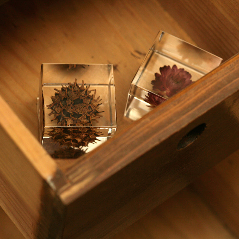 SOLA CUBE 50% off – NUKA